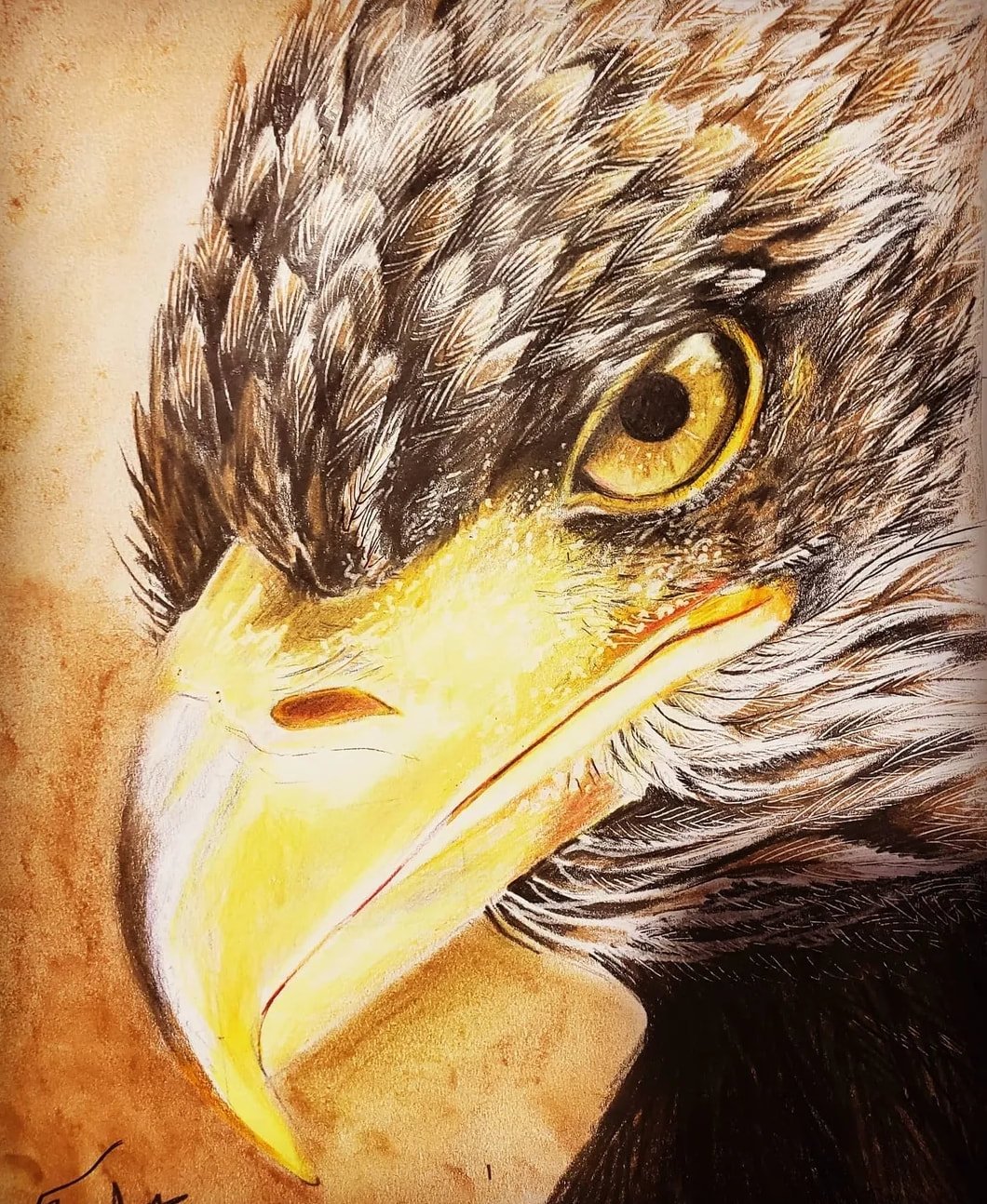 intermediate drawing